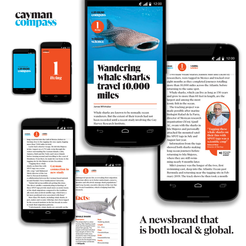 CAYMAN COMPASS UNVEILS STRIKING NEW REDESIGNS - Innovation